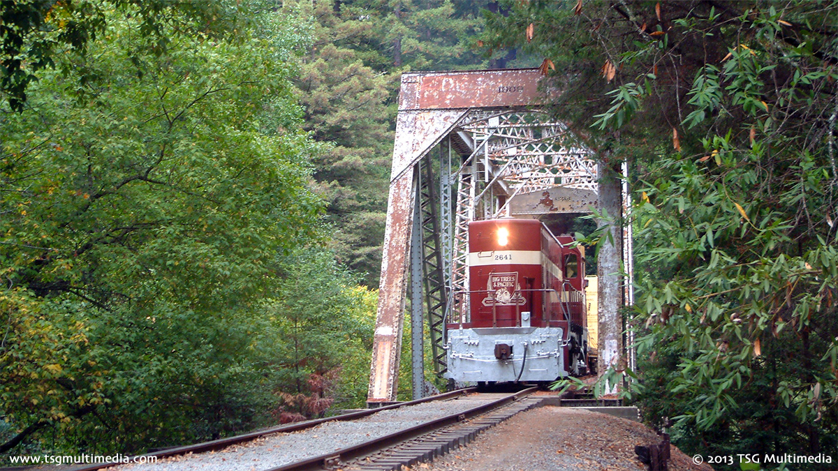The Beach Train - TSG Multimedia