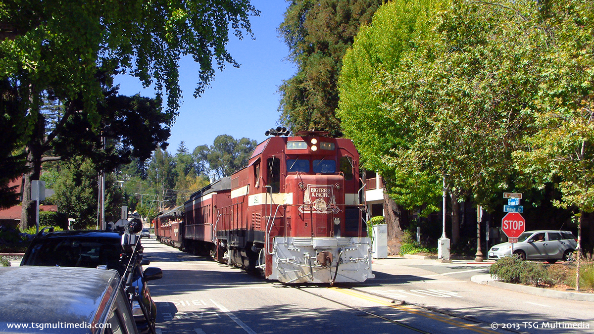 The Beach Train - TSG Multimedia